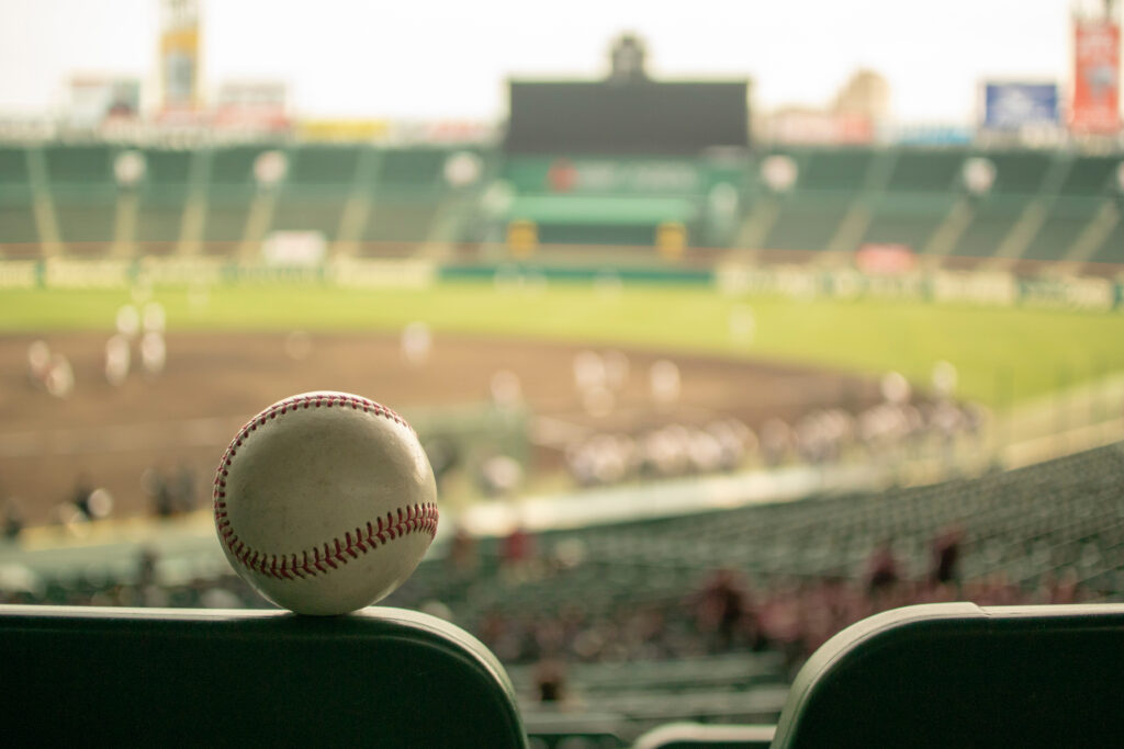 How To Avoid Pests At Summer Baseball Games