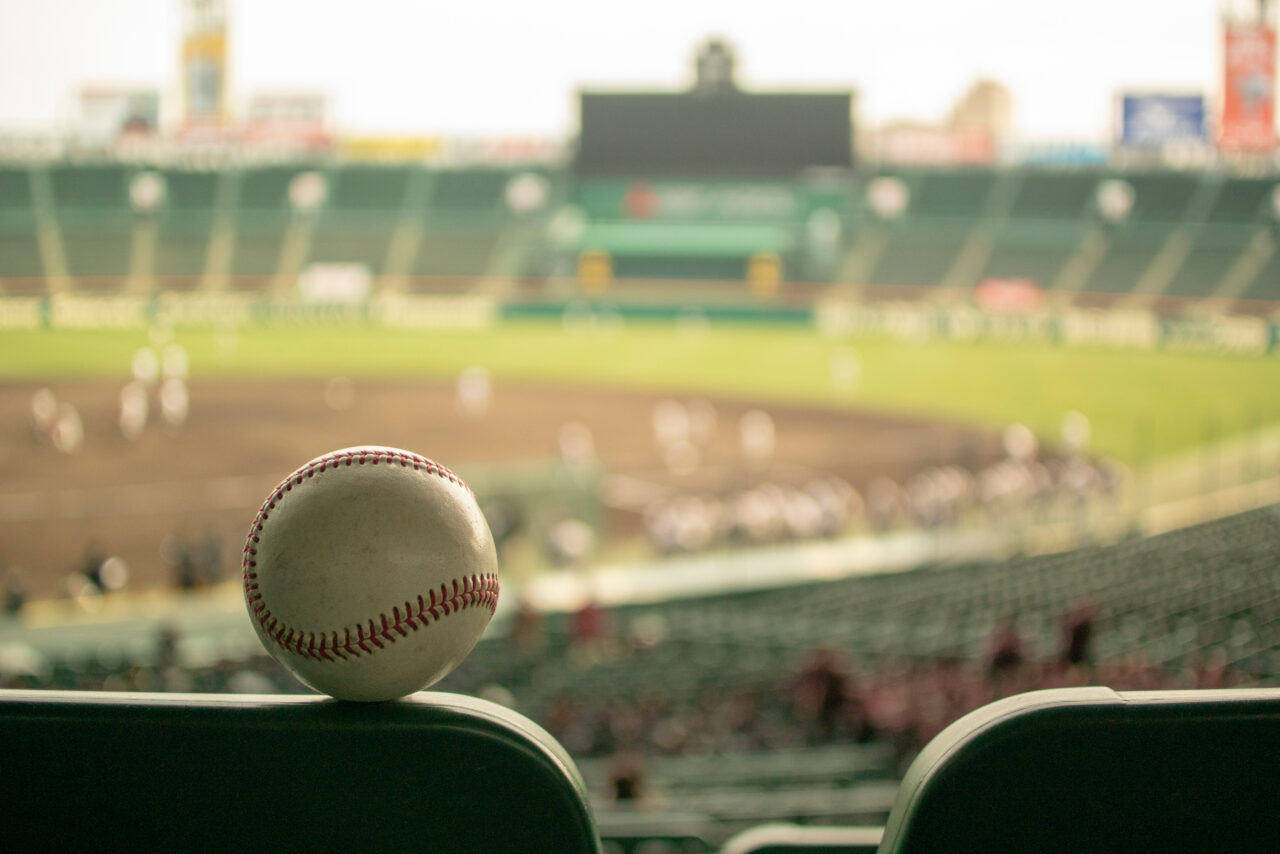 How To Avoid Pests At Summer Baseball Games - Affordable, Effective ...